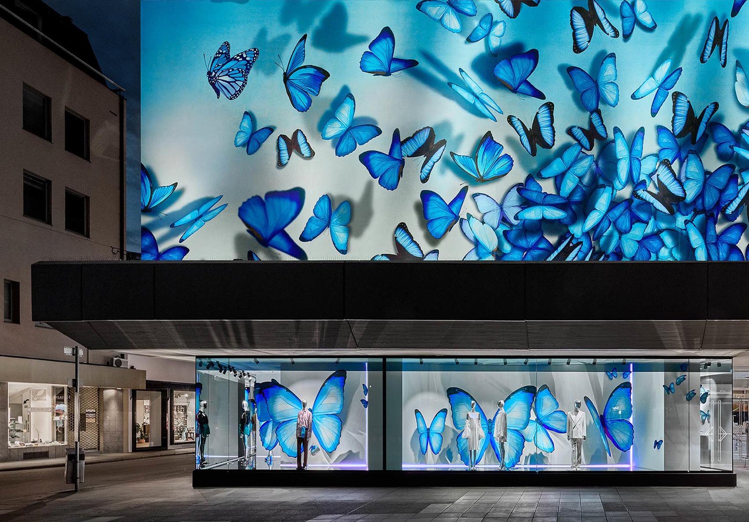 Pierre Mornet - Tiphaine Creative Talents